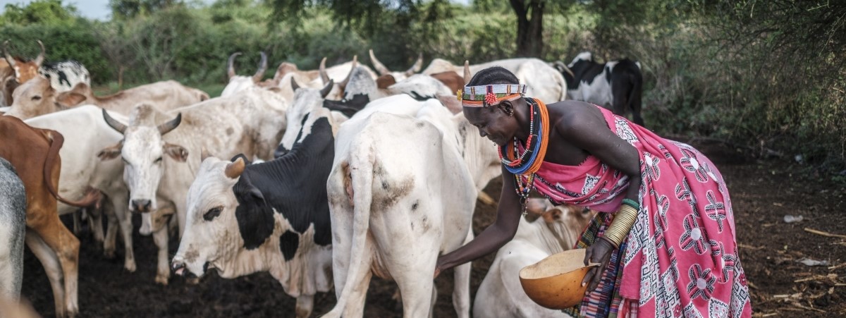 Female leadership in One Health | FAO VLCs